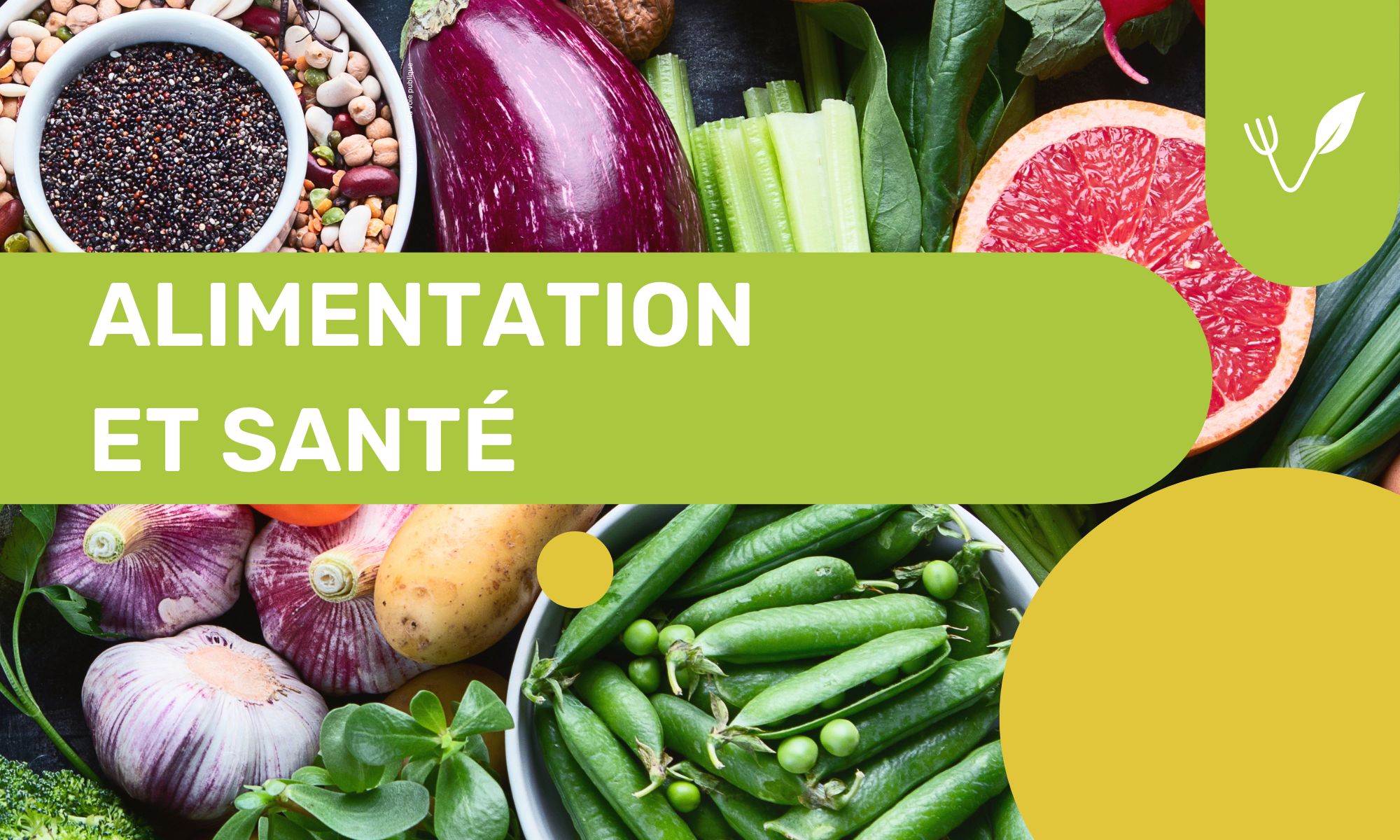 MSA - MSA Sud Aquitaine - Accueil - MSA Sud Aquitaine